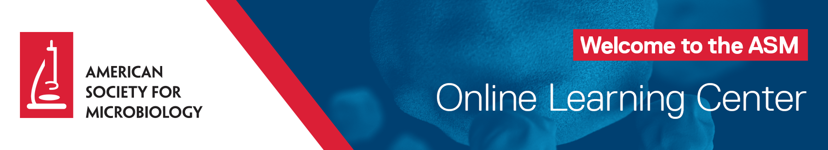 2025 ASMCUE Summer Series | ASM Online Learning Center